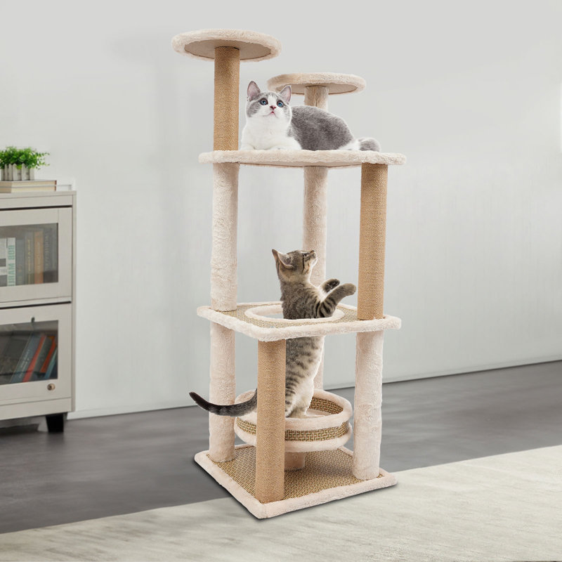 Archie & Oscar™ Multi-Level Cat Tree, Cat Climbing Frame For Indoor Cats | Wayfair